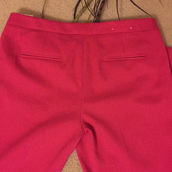 Dalia Collection | Pants & Jumpsuits | New Dalia Collection Pants ...
